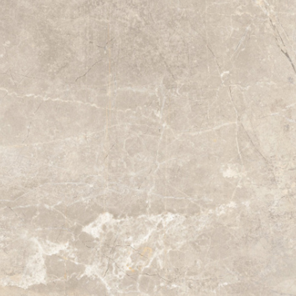 Concept Cream 48x48 Square Porcelain Tile | Imperial Tile